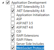 Configuring Internet Information Services (IIS)